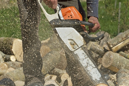 Big Foot Tree Service | Tree Removal Services in Wayne NJ | Contact Us