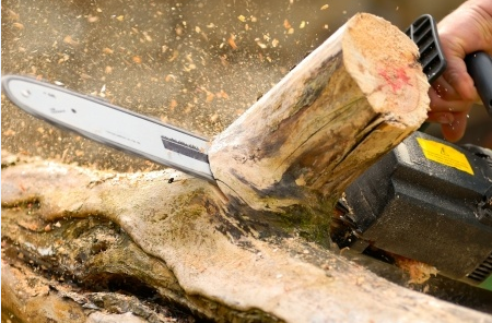 An Interesting Use for Dead Trees | Big Foot Tree Service